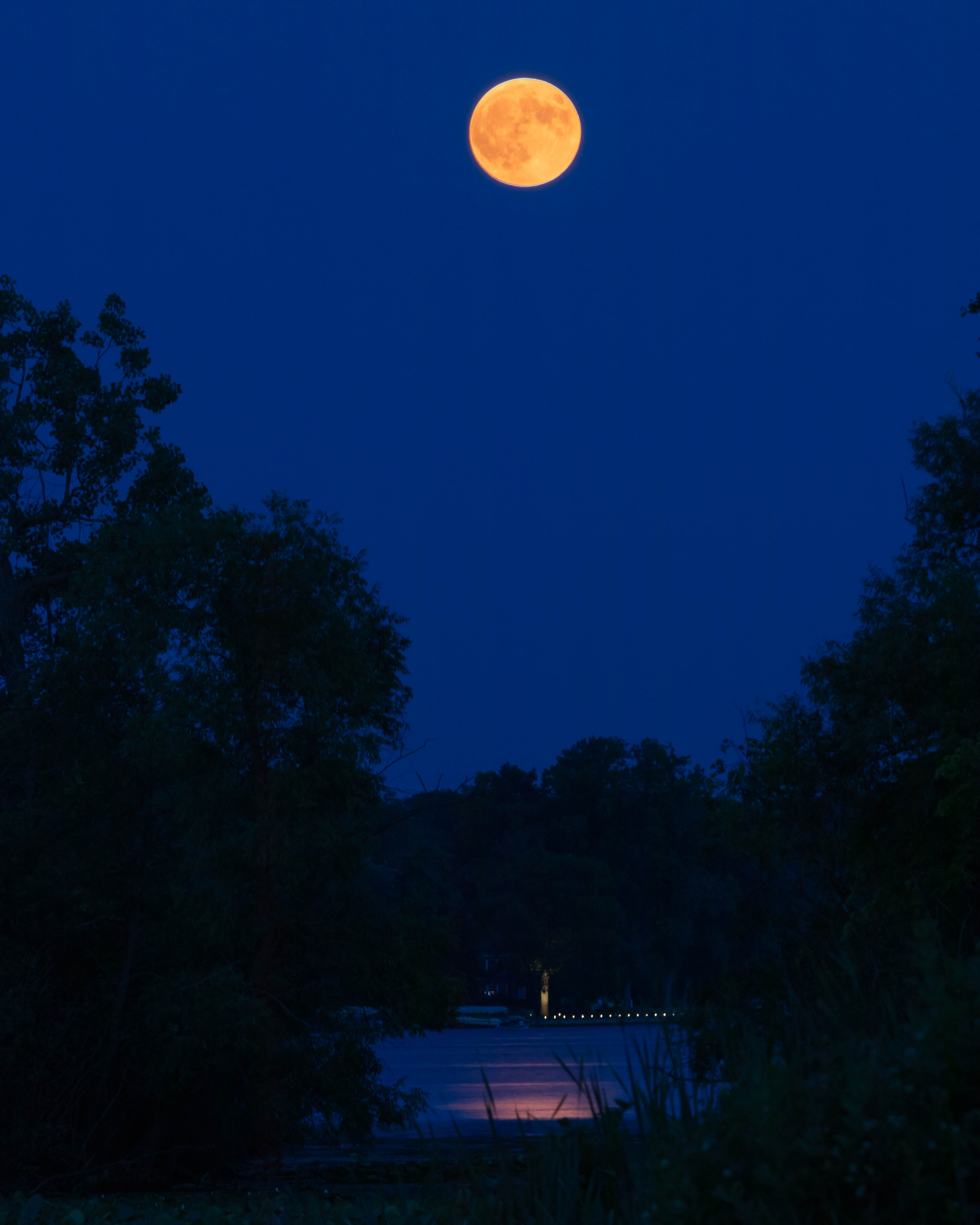 The Blood Moon Gives Way to a Foggy Morning – Photography by Rodney Martin